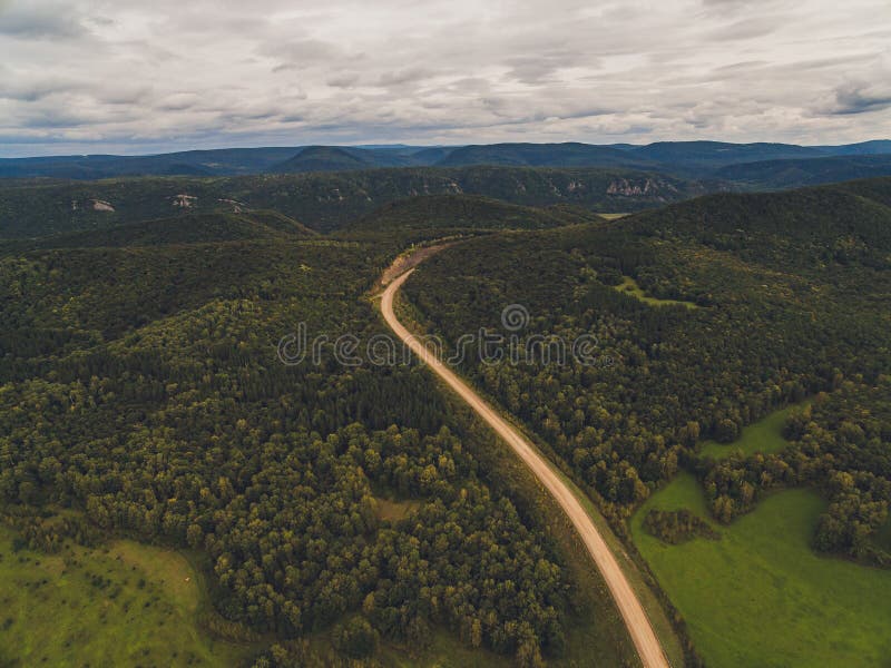 Summer Warm Sun Light Forest Aerial View. Stock Photo - Image of autumn ...