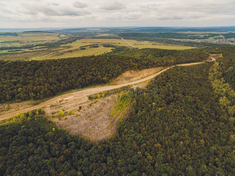Summer Warm Sun Light Forest Aerial View. Stock Image - Image of side ...