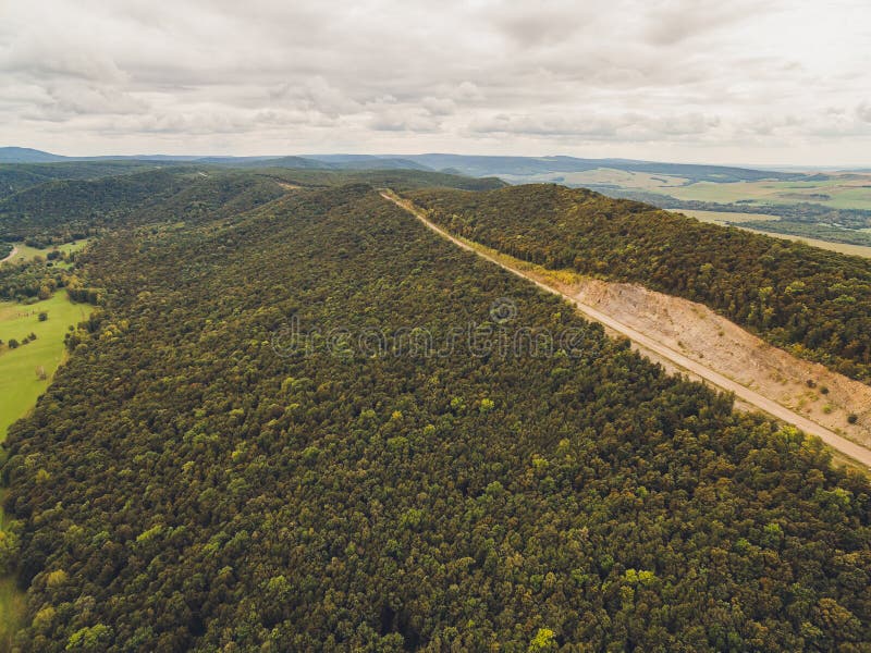 Summer Warm Sun Light Forest Aerial View. Stock Photo - Image of summer ...