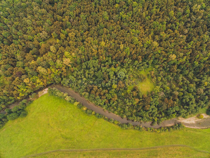 Summer Warm Sun Light Forest Aerial View. Stock Photo - Image of ...