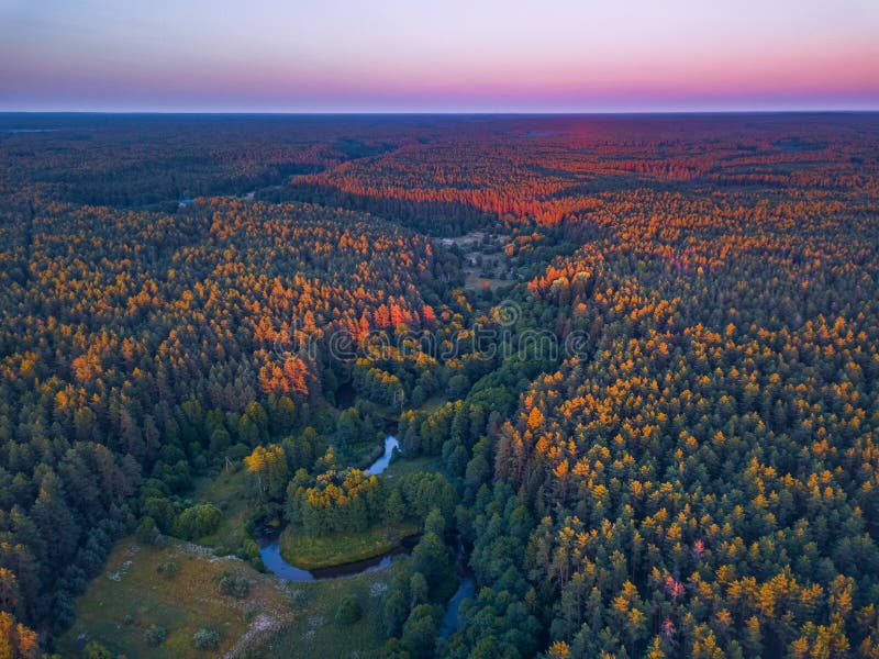 Summer Warm Sun Light Forest Aerial View Stock Photo - Image of golden ...