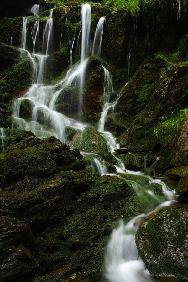 Summer waterfall with fern stock photo. Image of canyon - 2712040