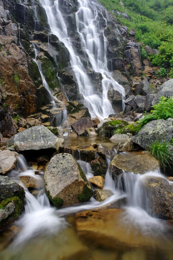 Summer waterfall with fern stock photo. Image of canyon - 2712040