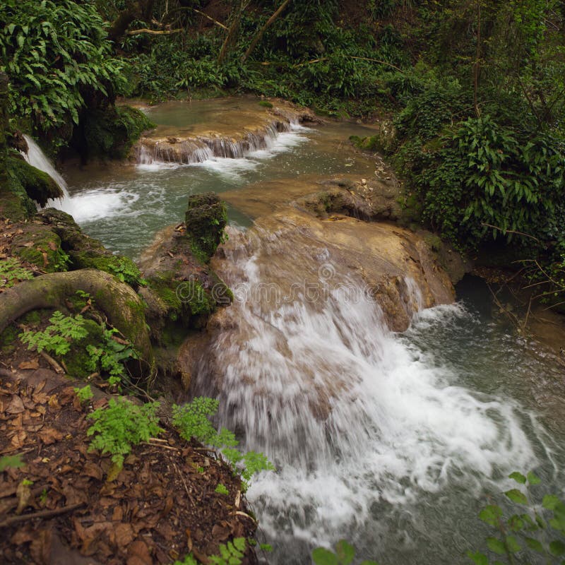 Summer waterfall scene stock photo. Image of river, forest - 65253028