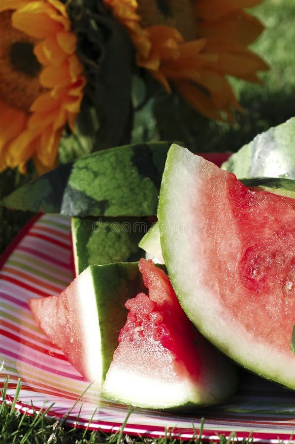 Summer Watermelon stock photo. Image of late, macro, shadow - 2109552