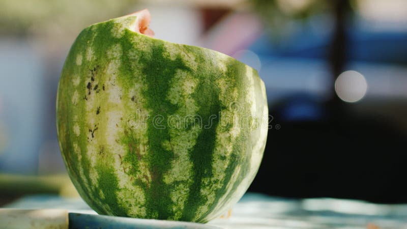 In Summer, Watermelon is Beautiful, and Eating Watermelon in the Empty ...