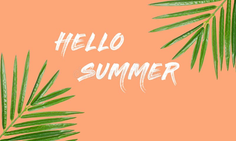 Summer Web Banner. Summer Background with Lettering Hello Summer on ...