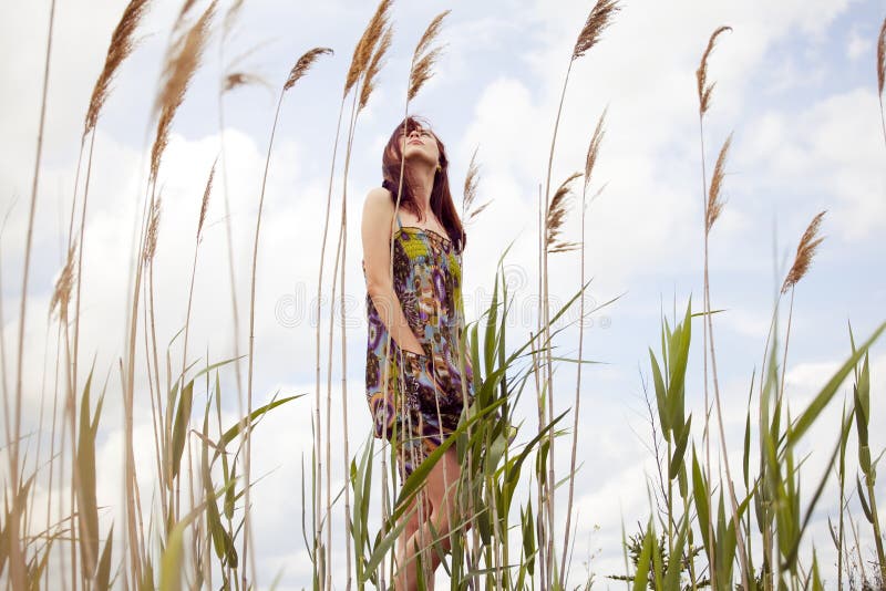 Summer wind stock photo. Image of reed, pose, gorgeous - 14470578