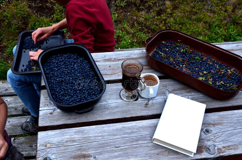 Summer Work at the Cottage at the Table. Wife and Son Sorting Stock ...