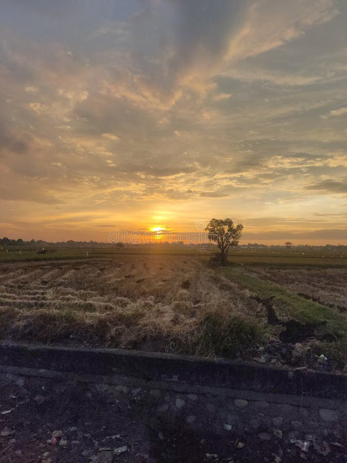 Summer this year stock photo. Image of indonesia, sunset - 263907010