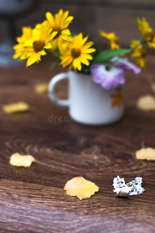 Summer Yellow Flowers in a White Circle Still Life. Stock Photo - Image ...