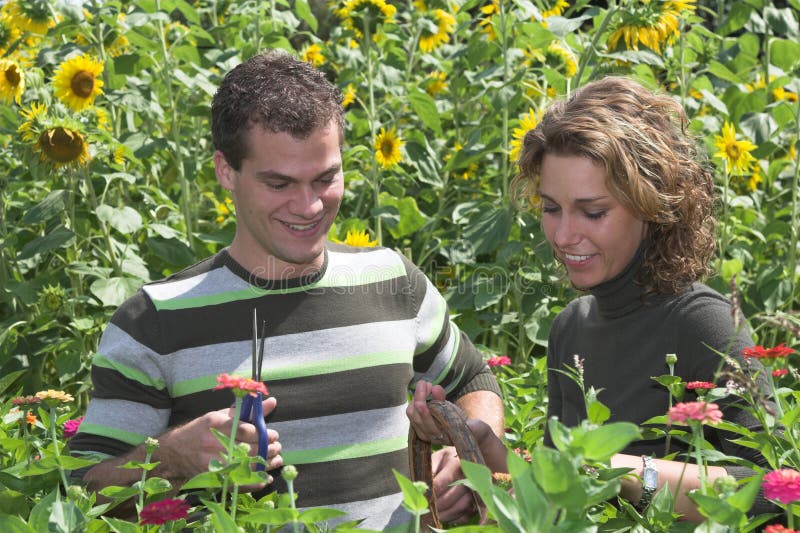 Summerfun stock photo. Image of flowergarden, active, pair - 1159374