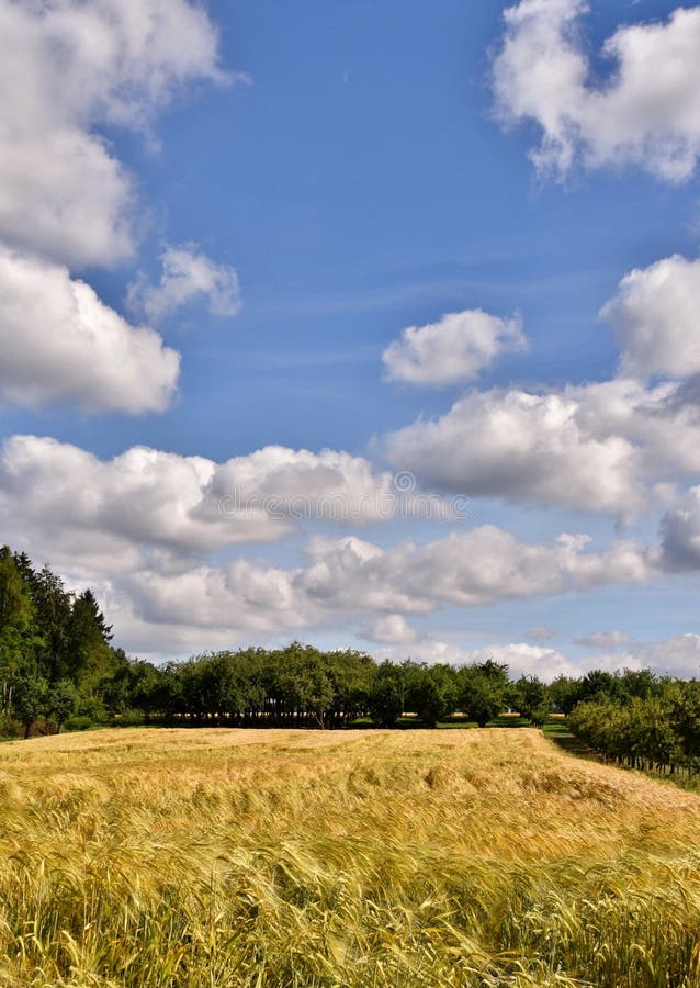 Summers Day stock image. Image of clouds, blue, nature - 95711501