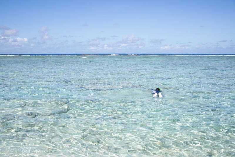 Summertime at the Beach. Beautiful Beach and Tropical Sea Stock Image ...