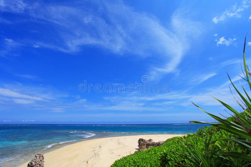Summertime at the beach stock photo. Image of relaxation - 39291876