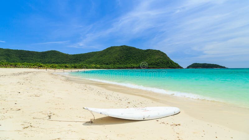 Summertime Beach Fun stock photo. Image of adult, gorgeous - 6063056
