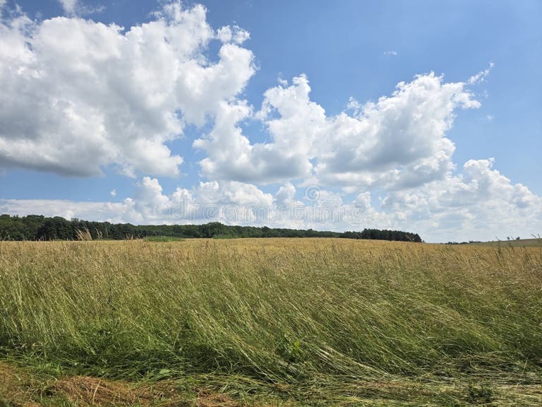 Summertime Countryside Hay Fields Stock Photo - Image of grassland ...