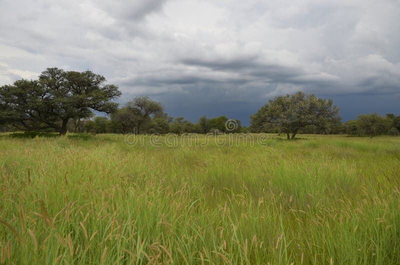 Summertime in Namibia stock photo. Image of season, nimbus - 40172718