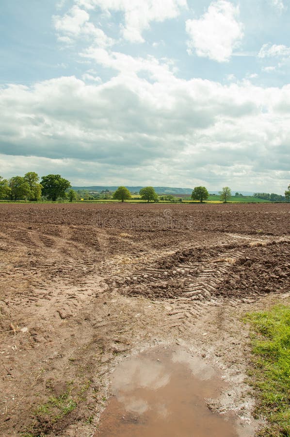 Summertime Muddy Fields and Agriculture in the British Countryside ...