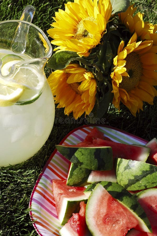 Summertime Refreshments stock image. Image of iced, closeup - 2109557