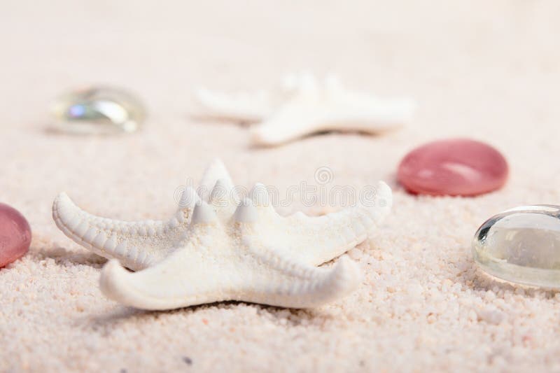 White Sea Stars and Red Glass Pebbles on the Sand. Stock Image - Image ...