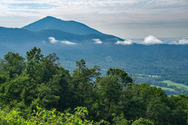 Summertime View of the Countryside Stock Photo - Image of lilies, pond ...