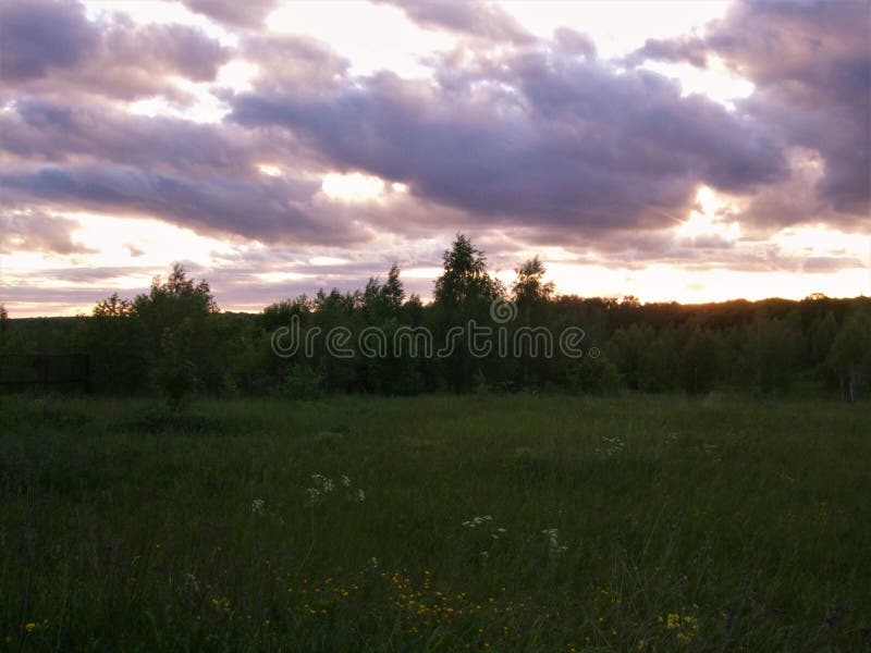 Summertime. June Sunset Over the Field and Forest. Stock Image - Image ...