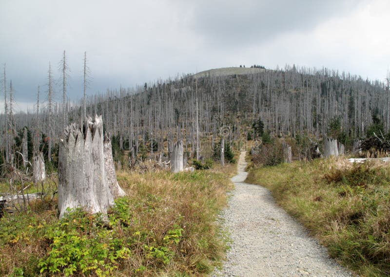 Summit of Luzny stock photo. Image of czech, republic - 11349014