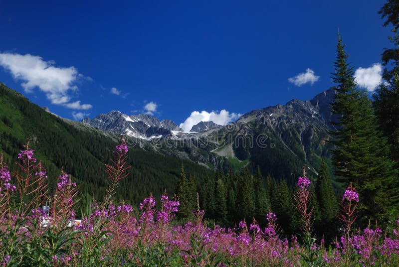 Summit of rogers pass stock image. Image of cloud, meadow - 2943747