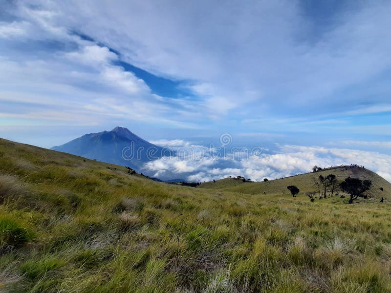 Summit Trek from Sabana Merbabu Stock Image - Image of sabana, outdoor ...