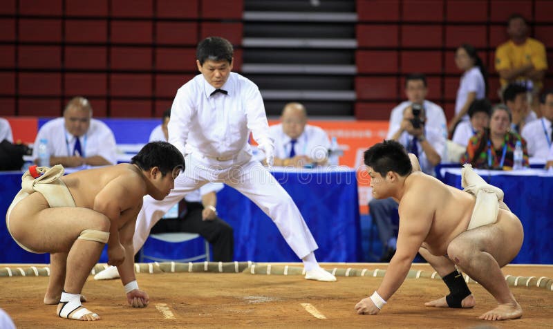 Sumo editorial photo. Image of beijing, event, force - 15839381