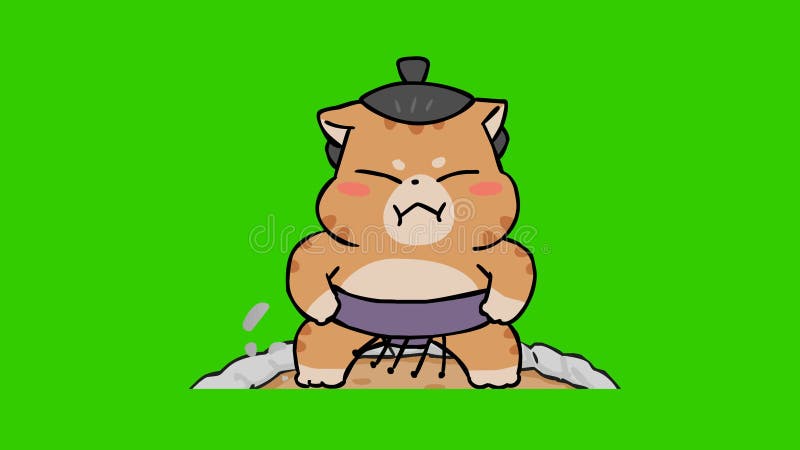 Sumo Cat Animation on Green Screen Stock Footage - Video of cartoon ...