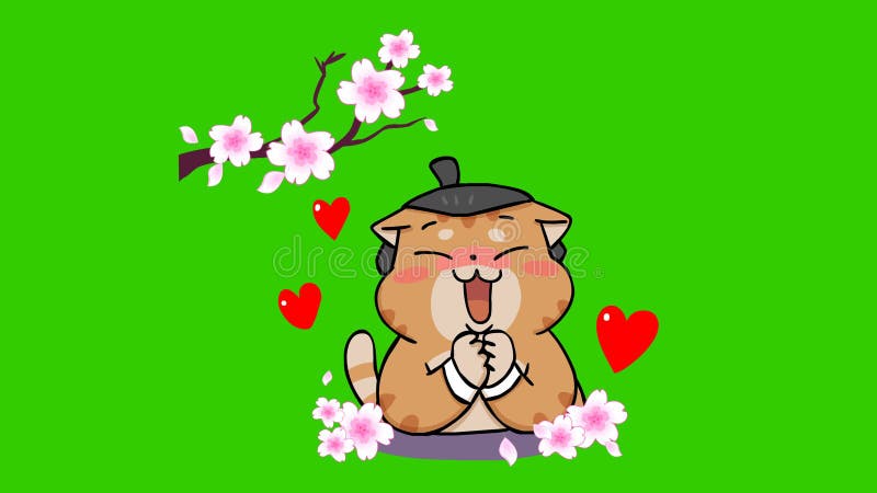 Sumo Cat Animation on Green Screen Stock Video - Video of force ...