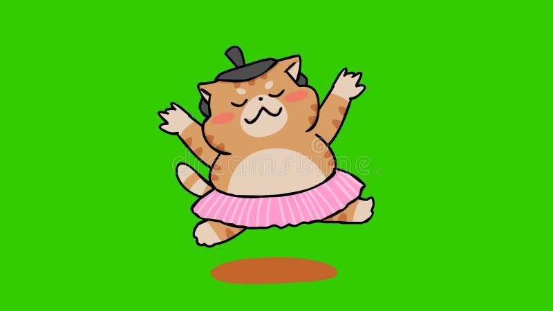 Sumo Cat Ballet Dance - Green Screen Stock Footage - Video of visual ...