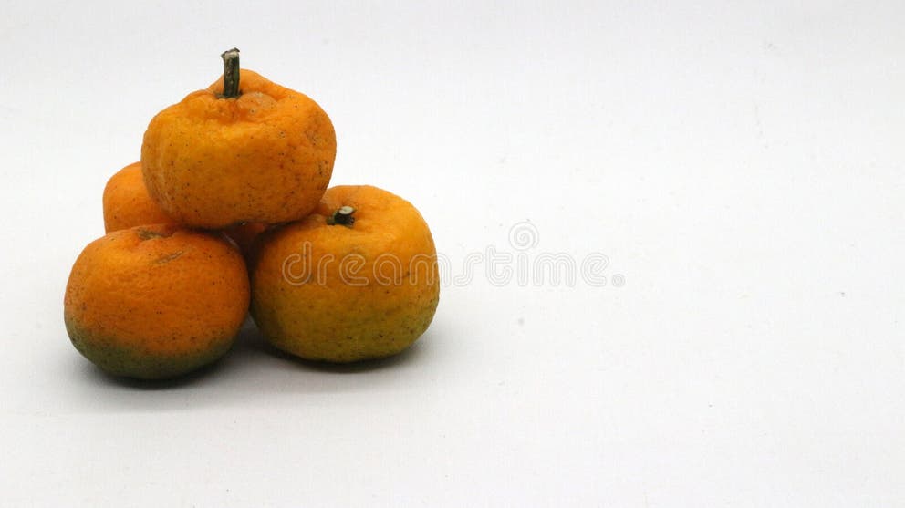 Sumo Citrus or Sumo Orange Fruit Isolated Stock Image - Image of ...
