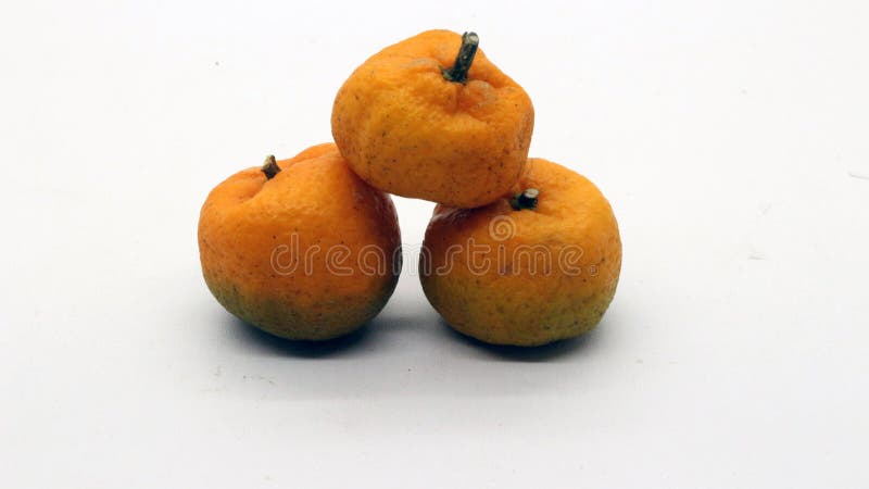 Sumo Citrus or Sumo Orange Fruit Isolated Stock Image - Image of ...