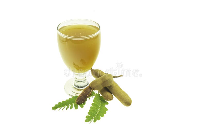 Sumo de samarro foto de stock. Imagem de suculento, erva - 186743796