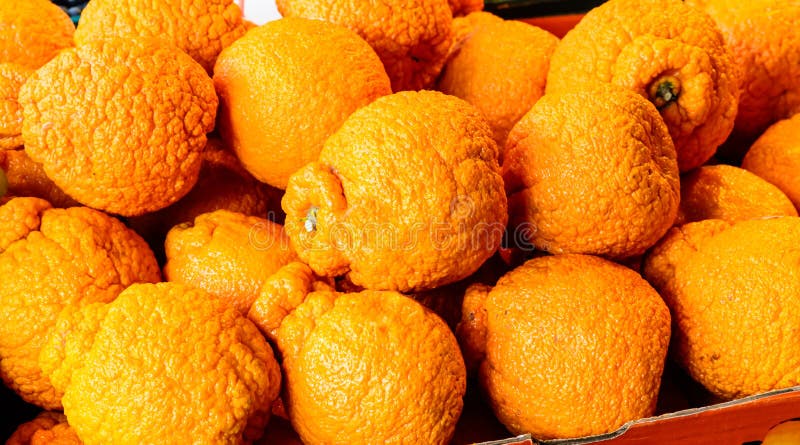 Sumo Mandarin Oranges on Market Stand Stock Photo - Image of health ...