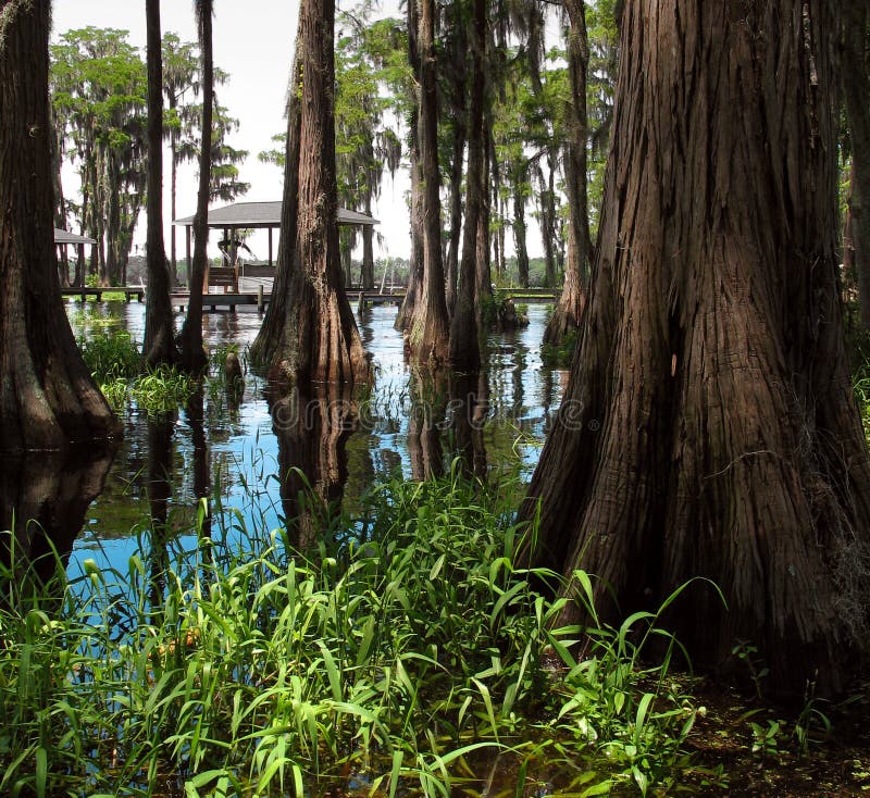 Okefenokee-Sumpf-Zeichen stockfoto. Bild von abenteuer - 76960382