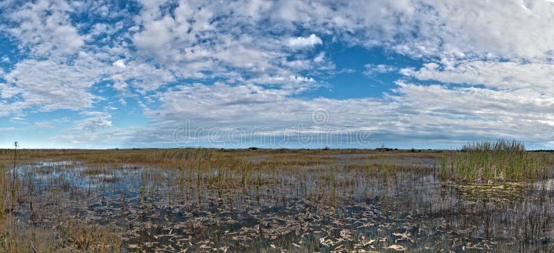 Florida-Sumpfgebiet Everglades-Nationalpark in Florida, USA Stockbild ...