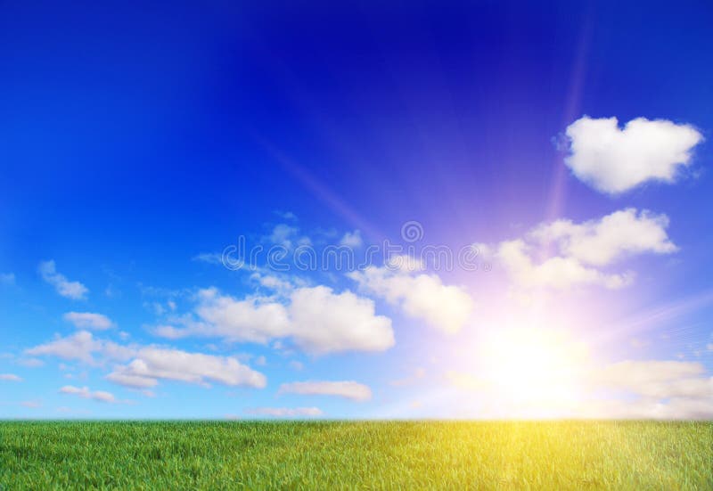 Panorama of Sky Sun and Grass Stock Photo - Image of abstract, basic ...