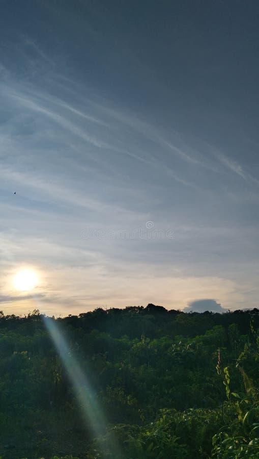 Sun in the afternoon stock image. Image of evening, wind - 262665725