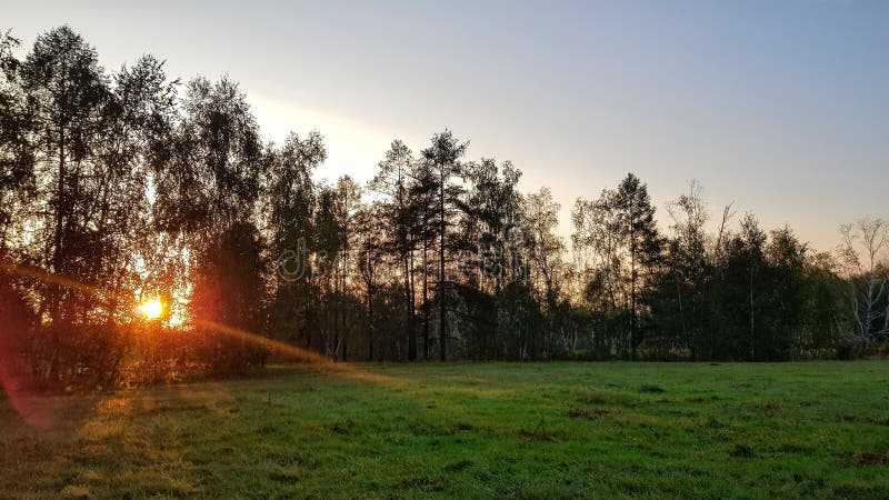 Sun in august stock photo. Image of evening, grass, dawn - 191011948