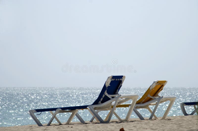 Sun Bathing Picture. Image: 6639856