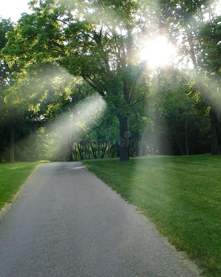 Sun beam stock image. Image of bright, light, beam, forrest - 864671