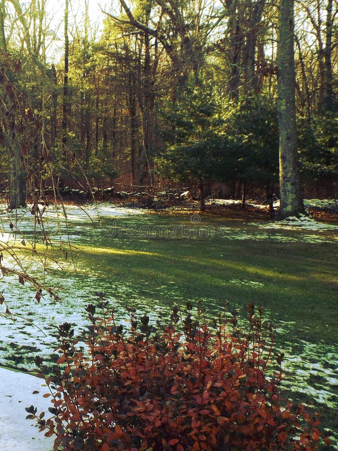 Sun Beaming Down on the Land Stock Photo - Image of meadow, beaming ...