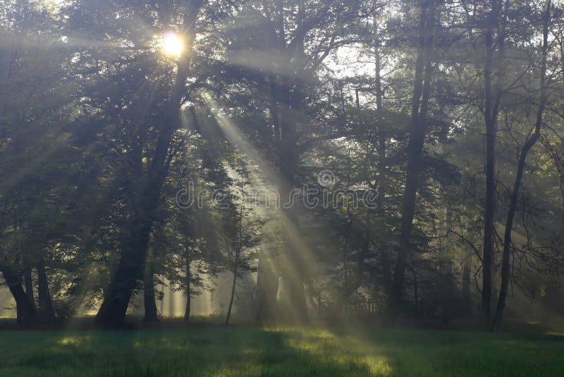 Sun Beams Stock Photos - Download 37,110 Royalty Free Photos