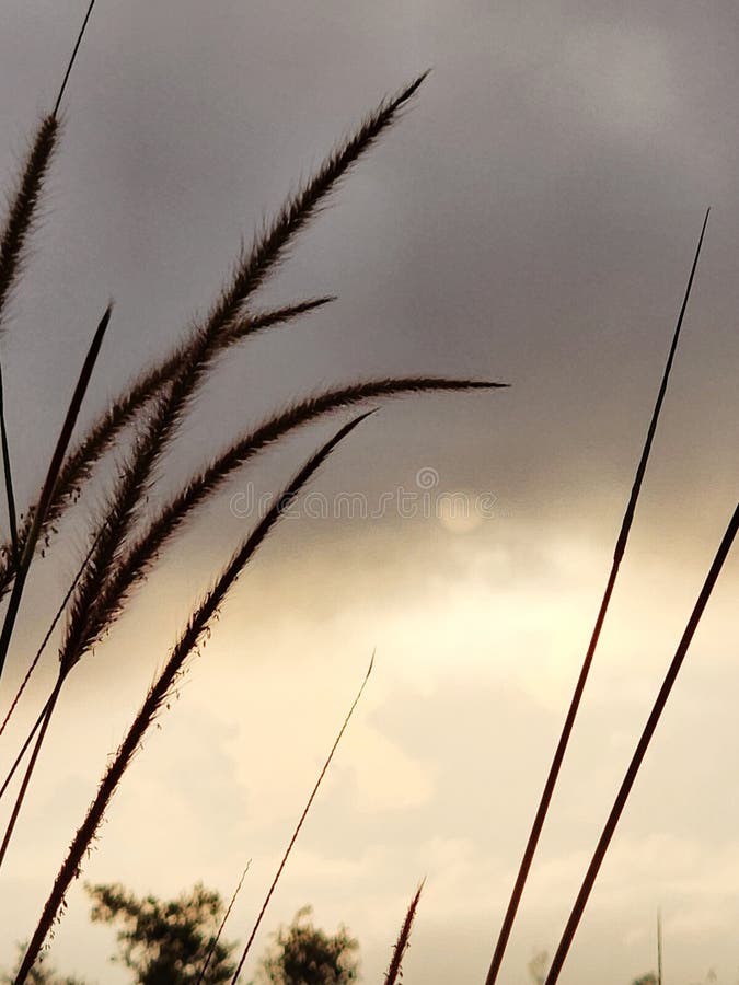 The Sun that is Beginning To Be Obscured by Dark Clouds Stock Image ...
