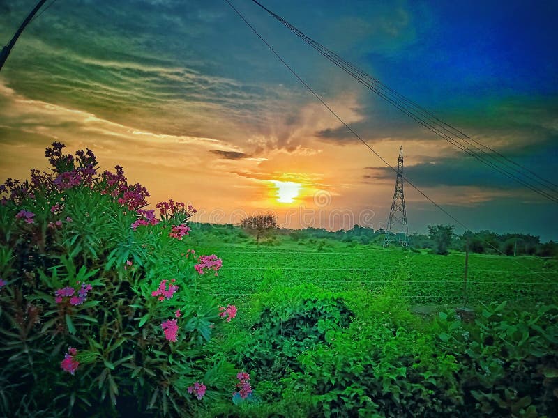 The Sun Behind the Clouds Amidst the Greenery Stock Photo - Image of ...