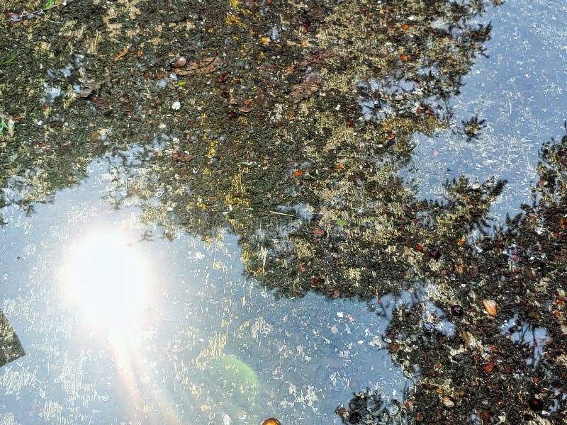 The sun behind the puddles stock image. Image of sunlight - 271608415